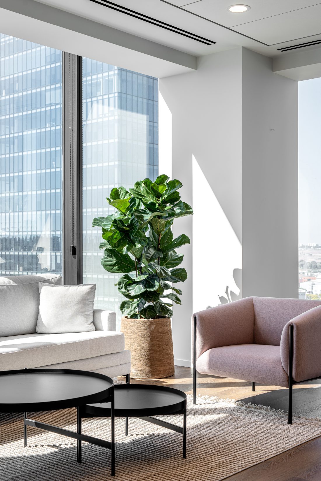 TOMMY | וקסמן ריהוט משרדי